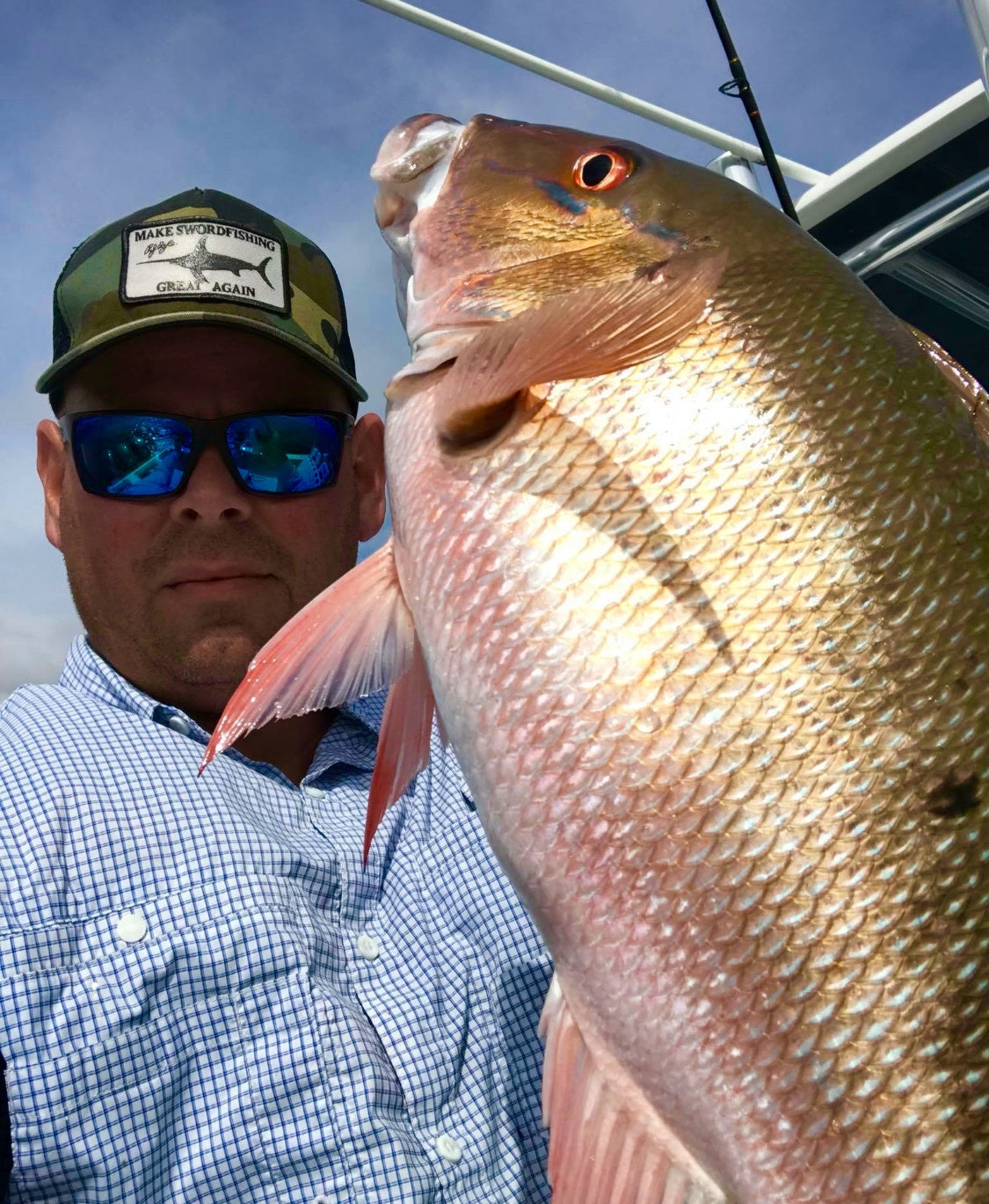 Take your pick! | RJ Boyle