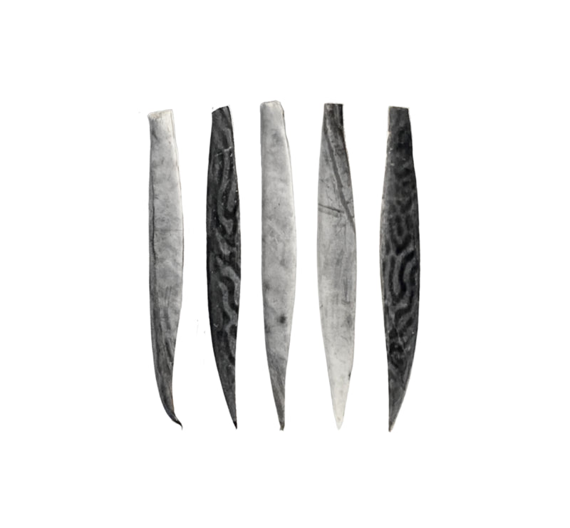 Bonito Strip Bundle - Regular | RJ Boyle