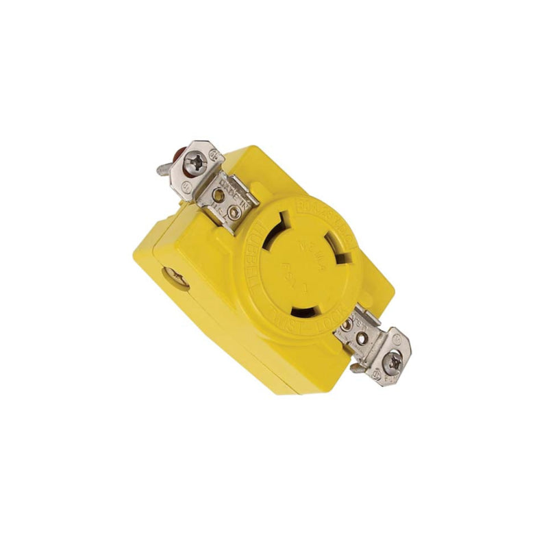 Hubble Electric Fishing Reel Receptacle | RJ Boyle