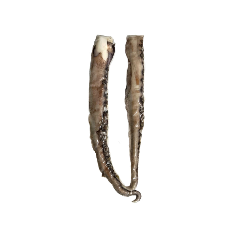 Unrigged Squid Tentacle - 10 Packs